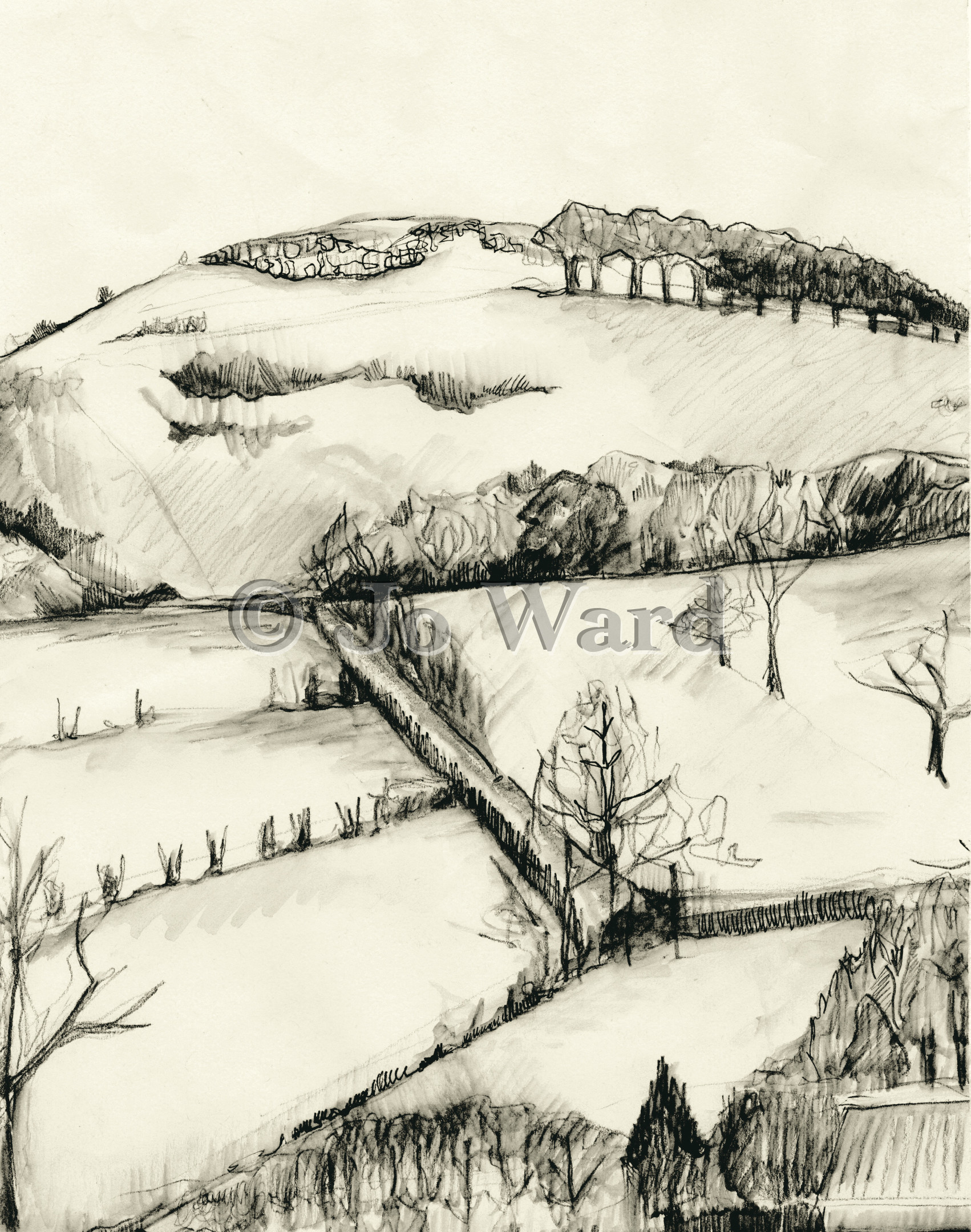 Line Drawings of Somerset – Jo Ward – Artist's gallery